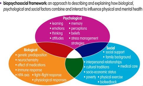 Bio-psycho-social model of addiction – Jula Aniol Therapy